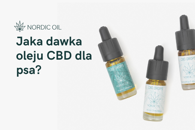 Jaka dawka oleju CBD dla psa? – Nordic Oil